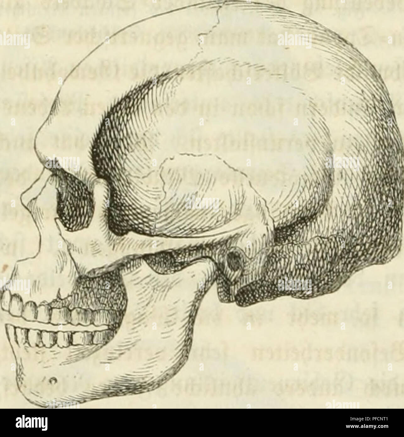 This book covers human evolution, from early ancestors to modern humans ...