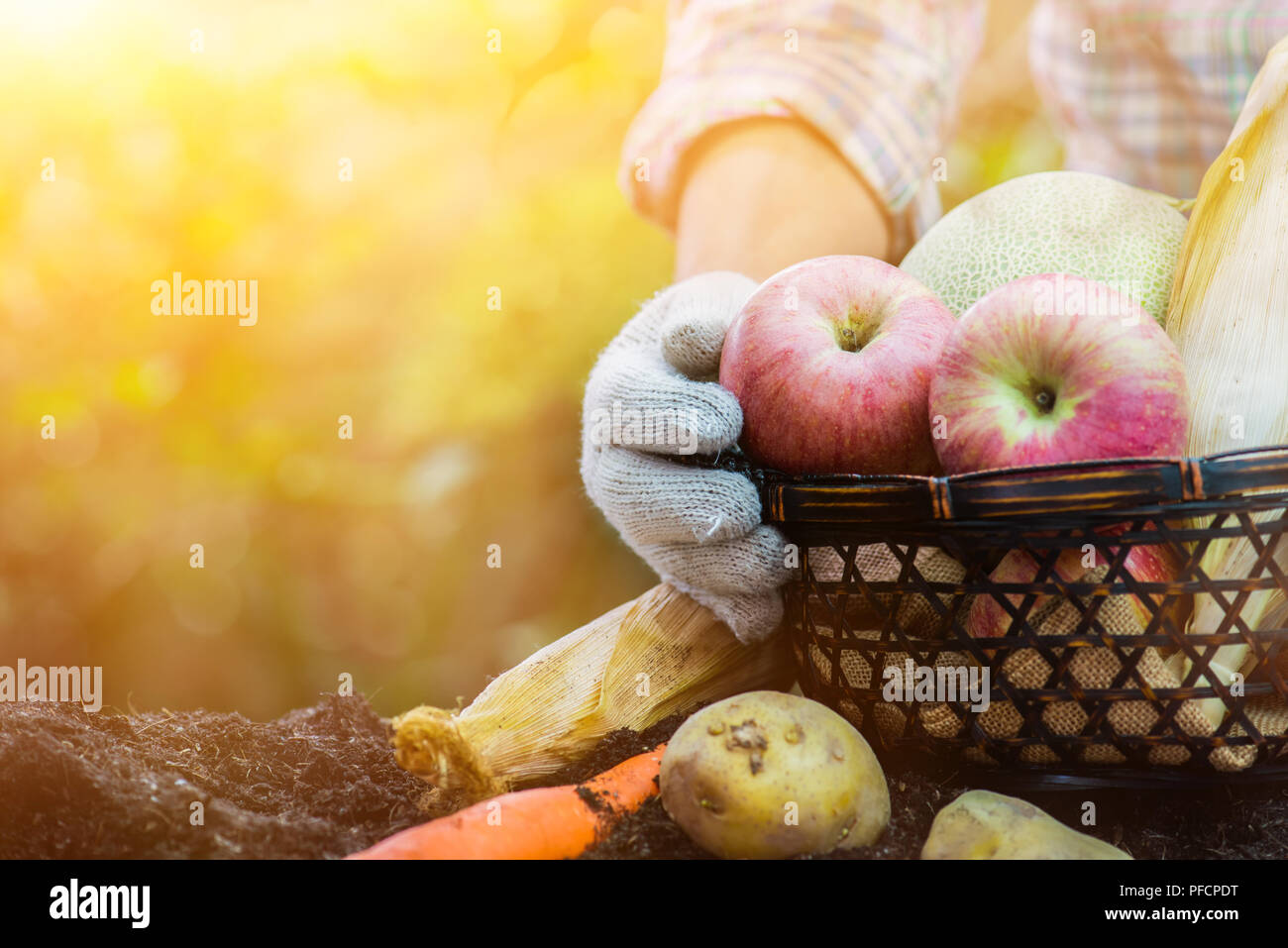 Fall harvest cornucopia. Autumn season with fruit and vegetable Stock ...
