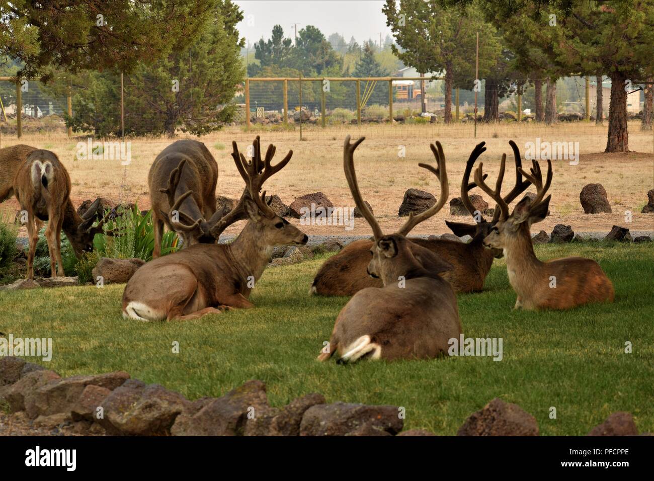 Crooked River Ranch Oregon