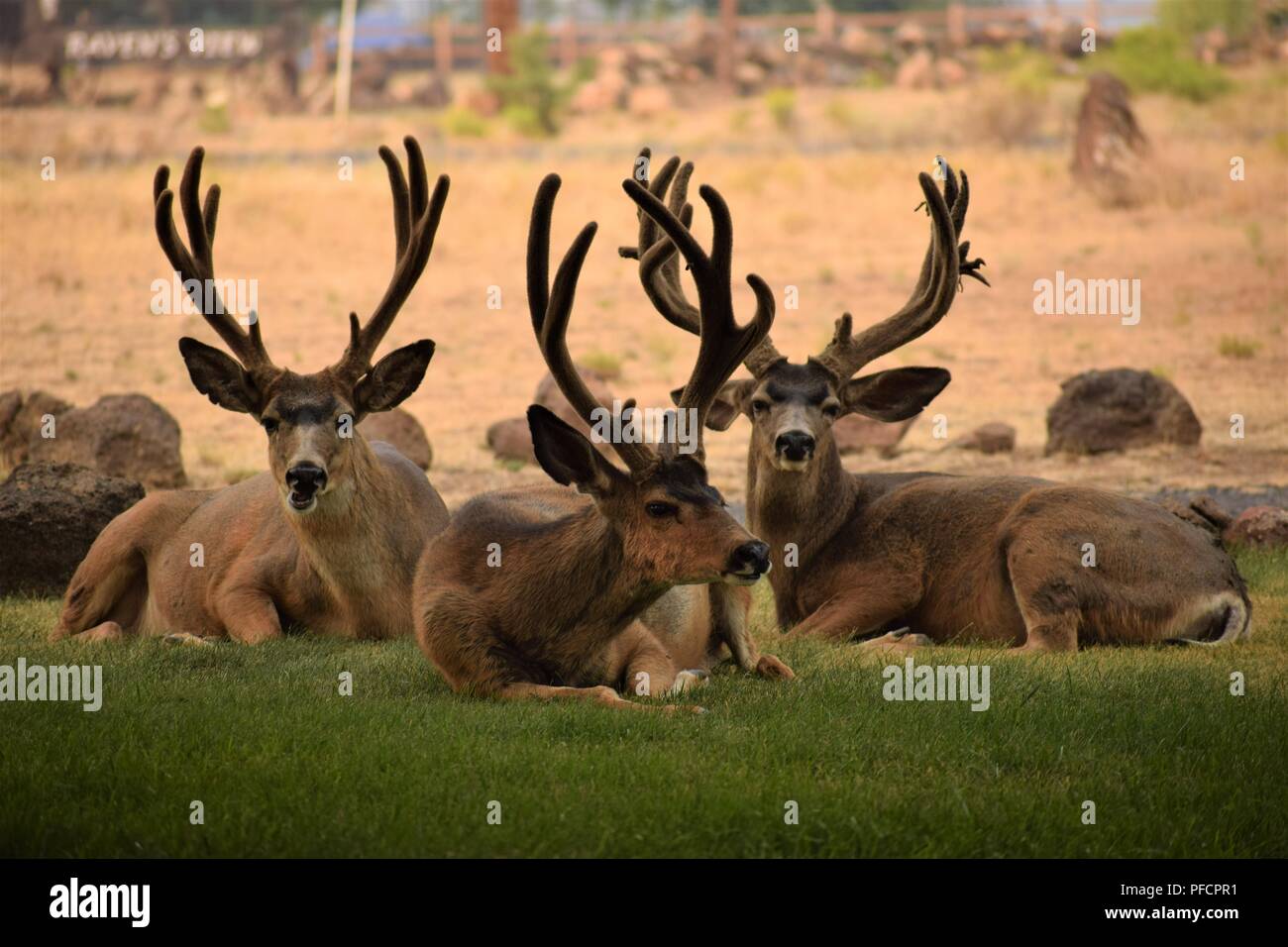 Crooked River Ranch Oregon