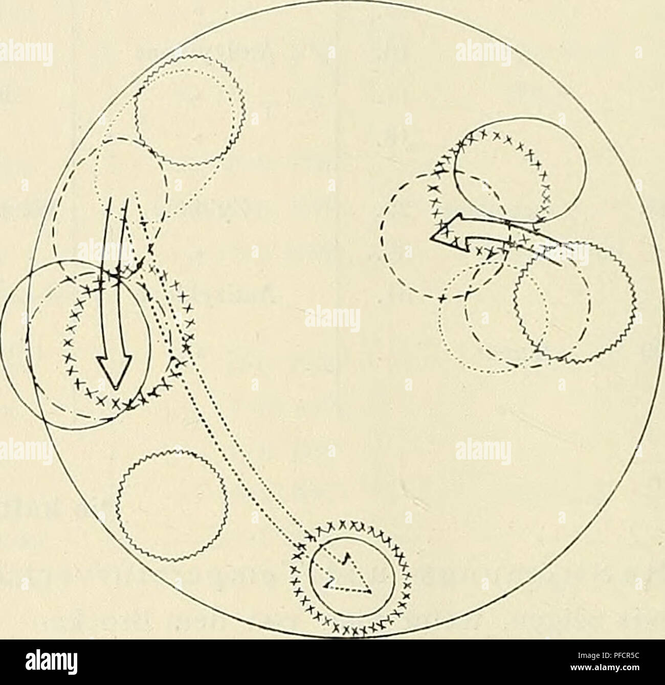 A scientific work analyzing atmospheric flow conditions in cold ...