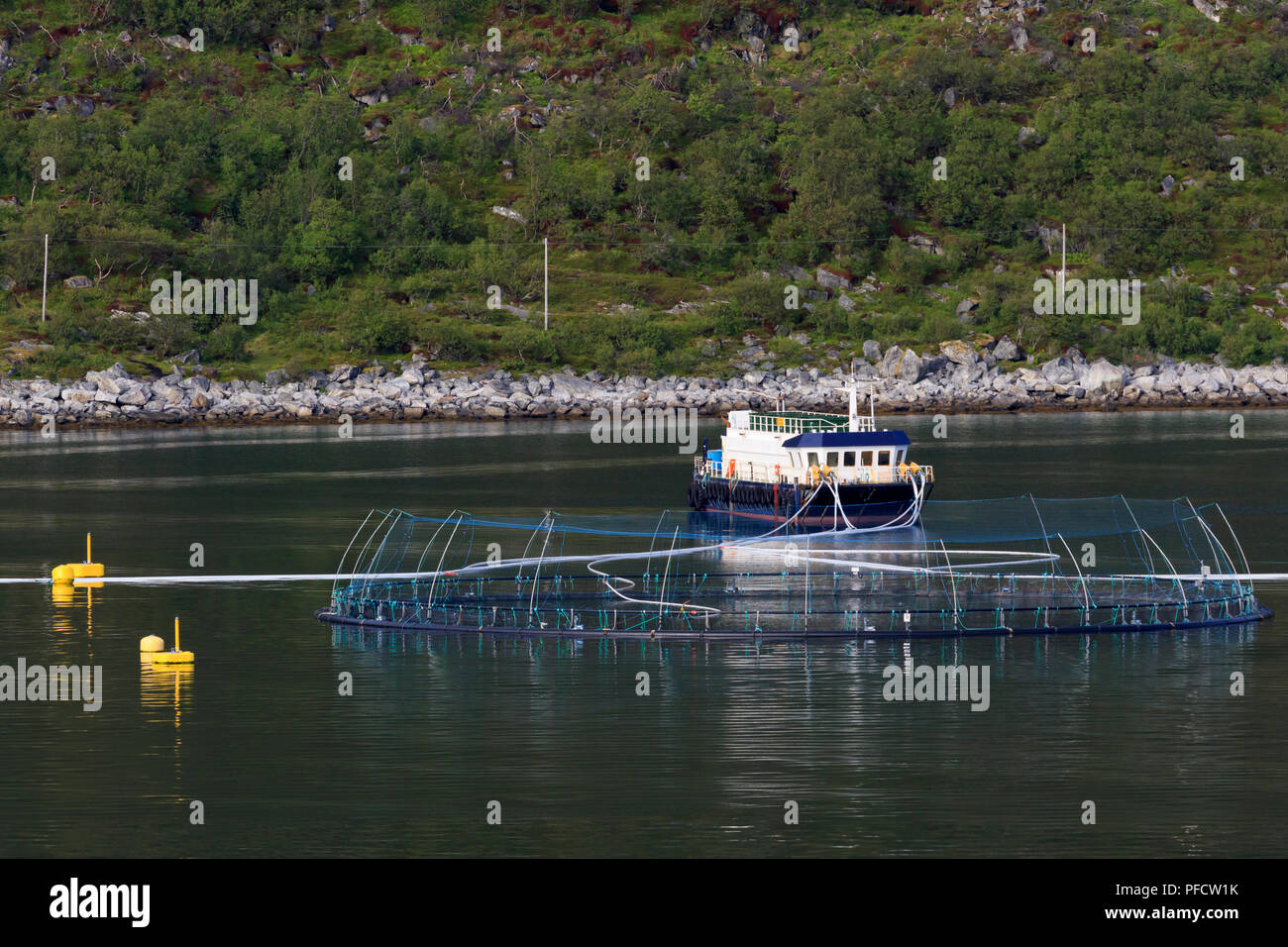 Norway fish farming hi-res stock photography and images - Alamy