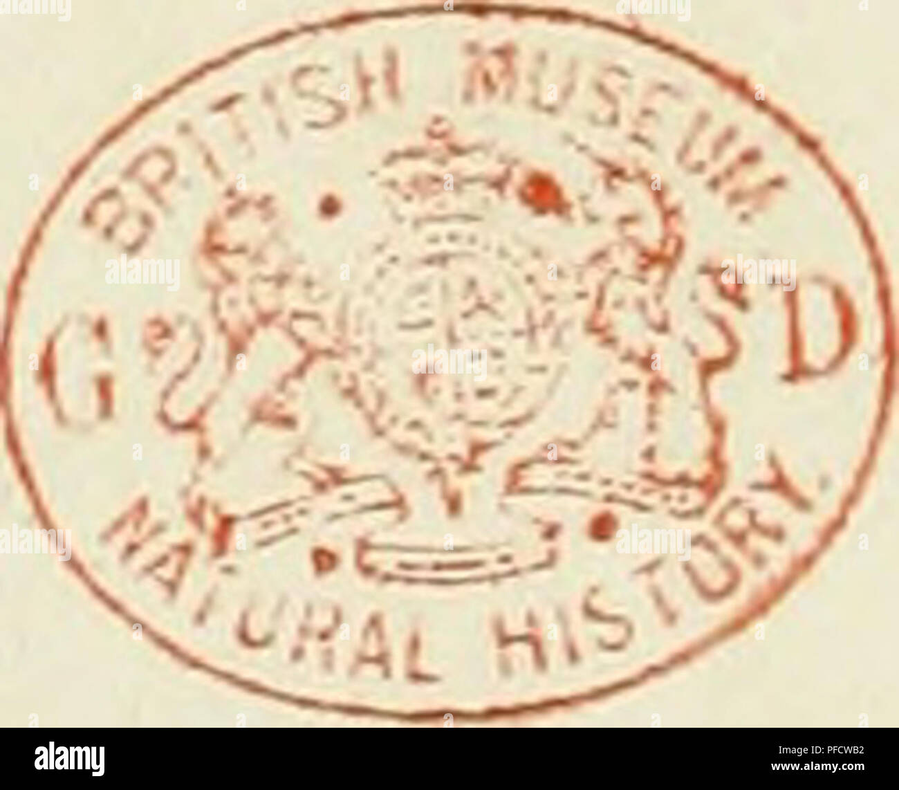 This description details the skeletal structure of the extinct Mylodon ...