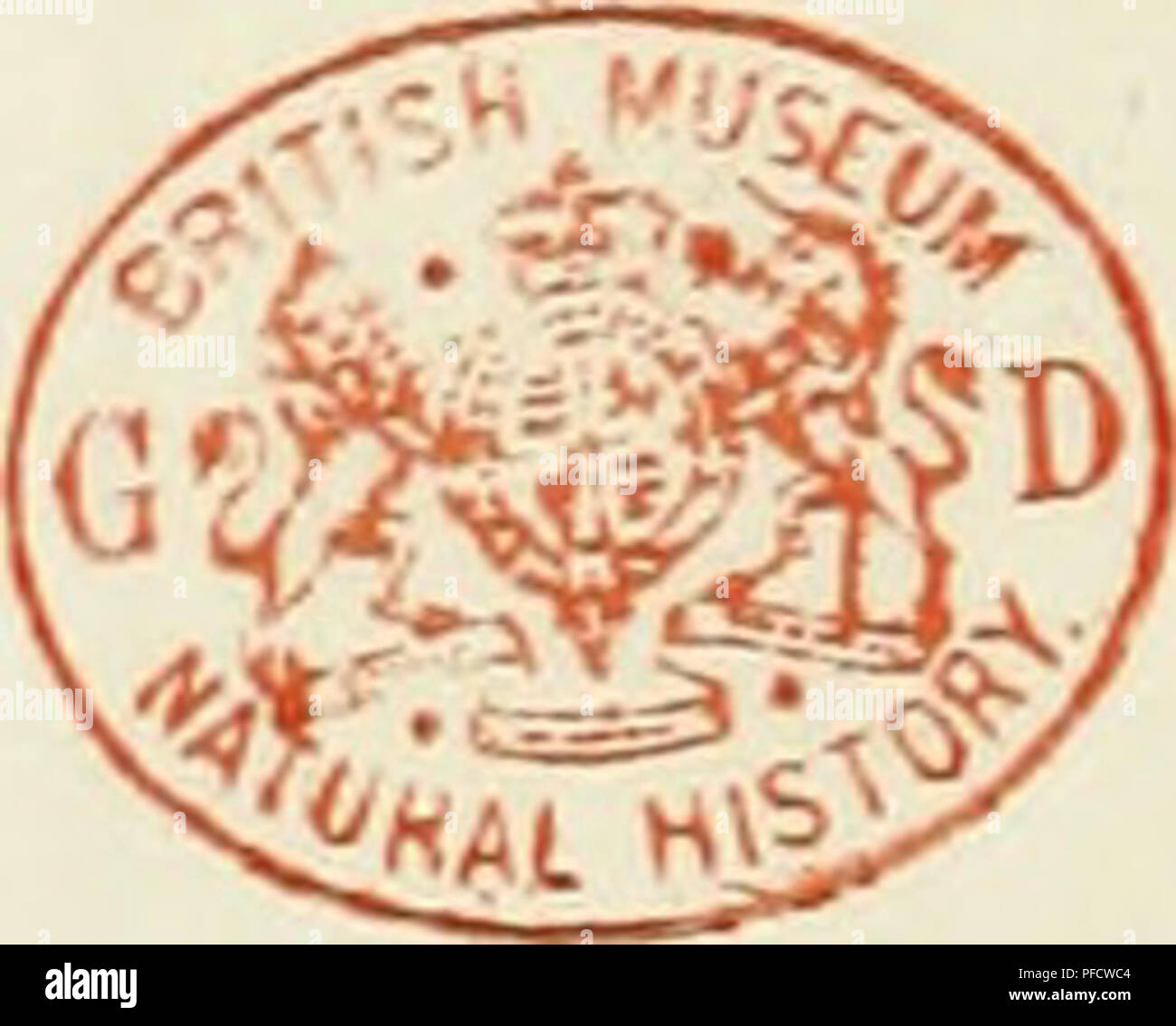 The image depicts the fossilized skeleton of Mylodon robustus, an ...