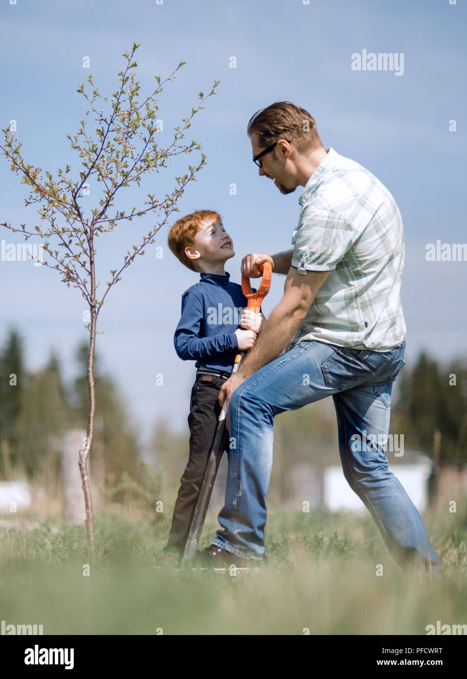 father explains to his son how to plant a tree Stock Photo - Alamy
