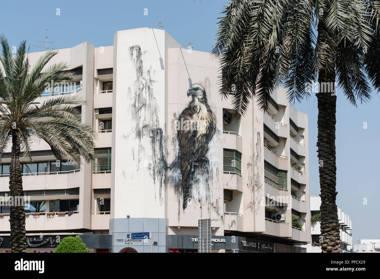 Street art mural featuring a falcon, the national symbol of the UAE, on ...