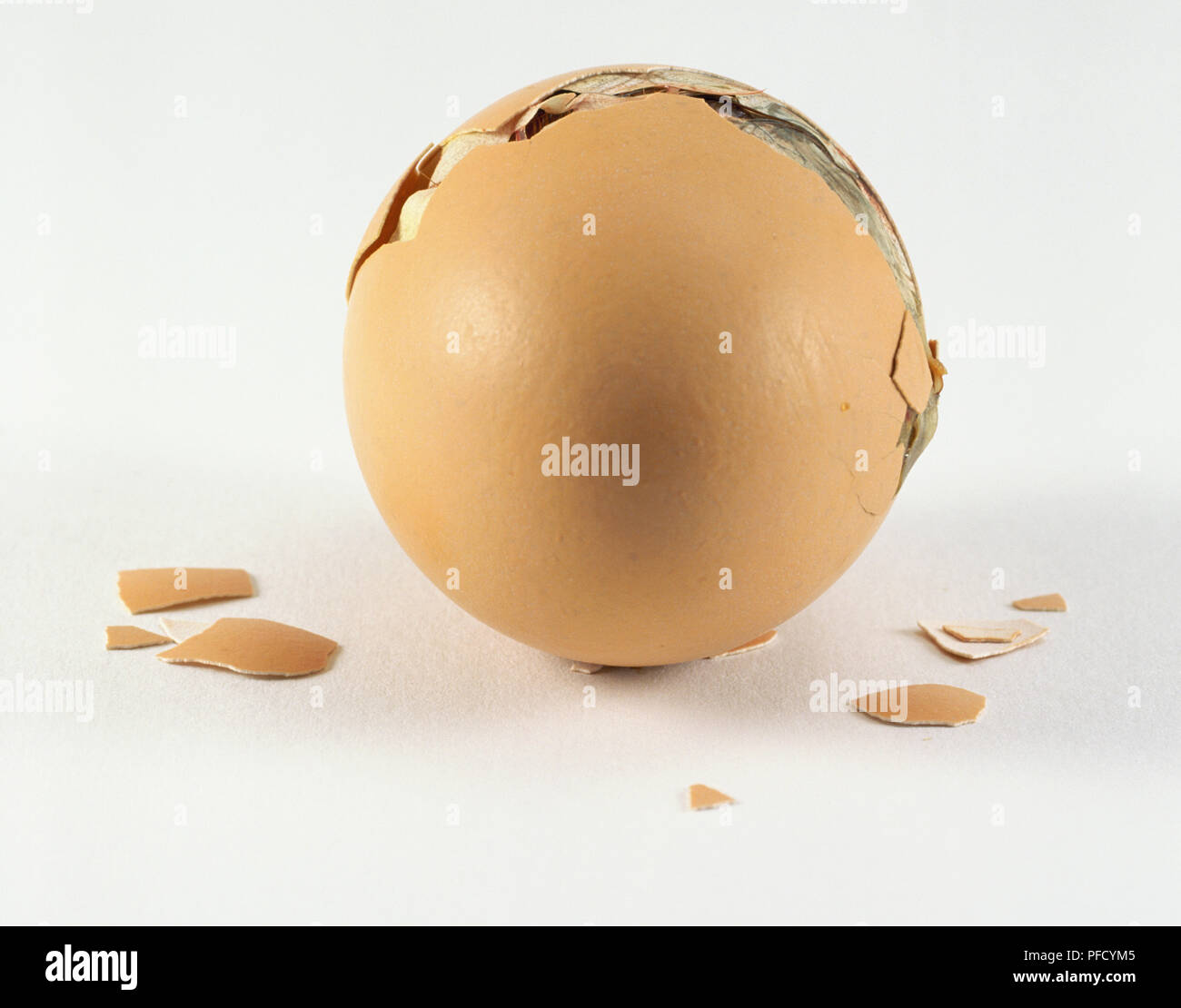 Chick hatching egg hi-res stock photography and images - Alamy