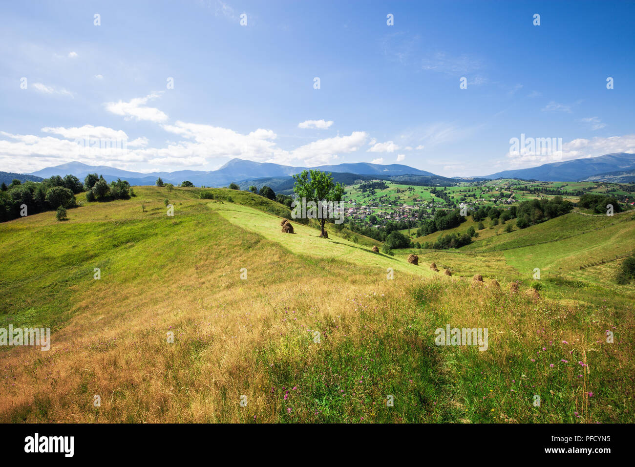 Colorful spring mountain green meadow landscape Stock Photo - Alamy