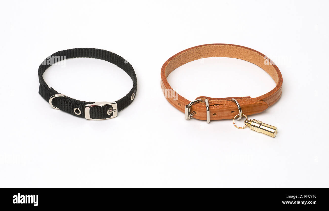 Two collars hi-res stock photography and images - Alamy