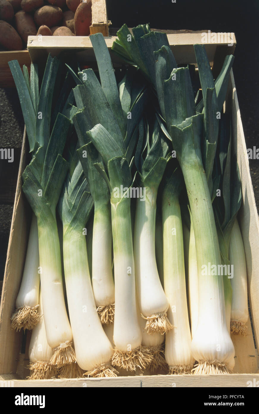 France, box of fresh leeks on display in a market stall, view from ...