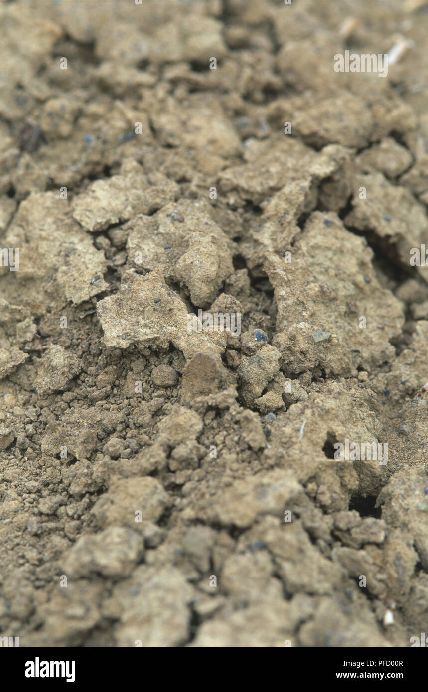 Dry soil, close up Stock Photo - Alamy