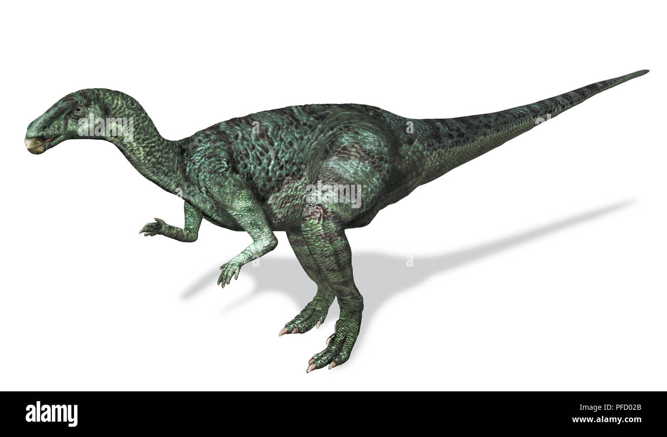 Camptosaurus Dinosaur