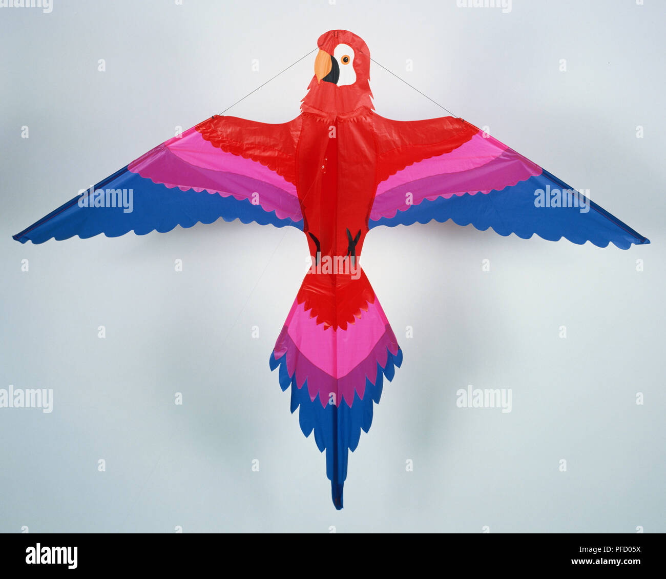 Parrot kite, front view Stock Photo - Alamy