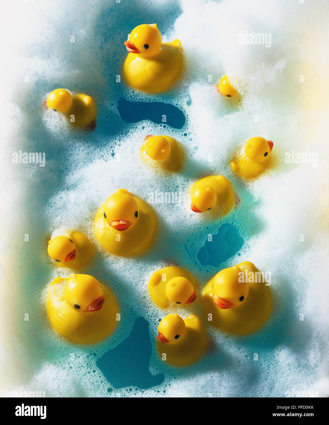 Twelve yellow plastic ducks floating on foamy water, view from above ...
