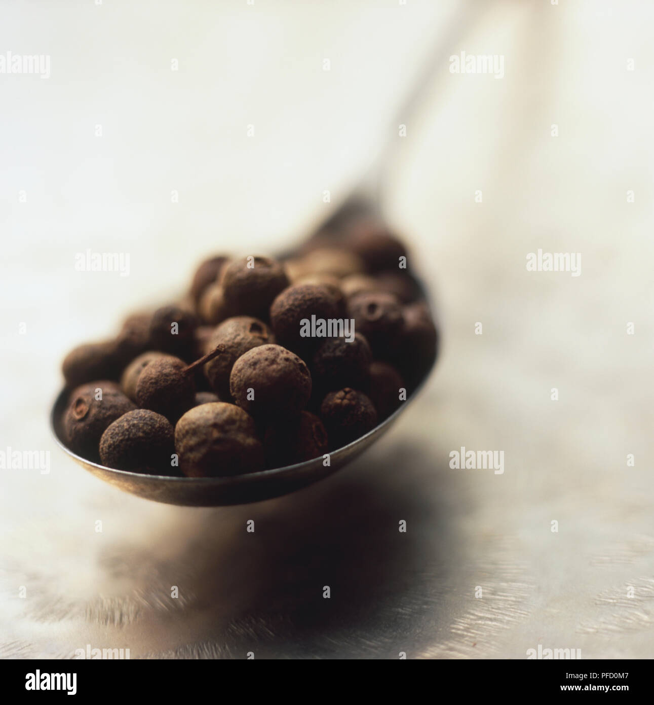 Pimento tree hi-res stock photography and images - Alamy