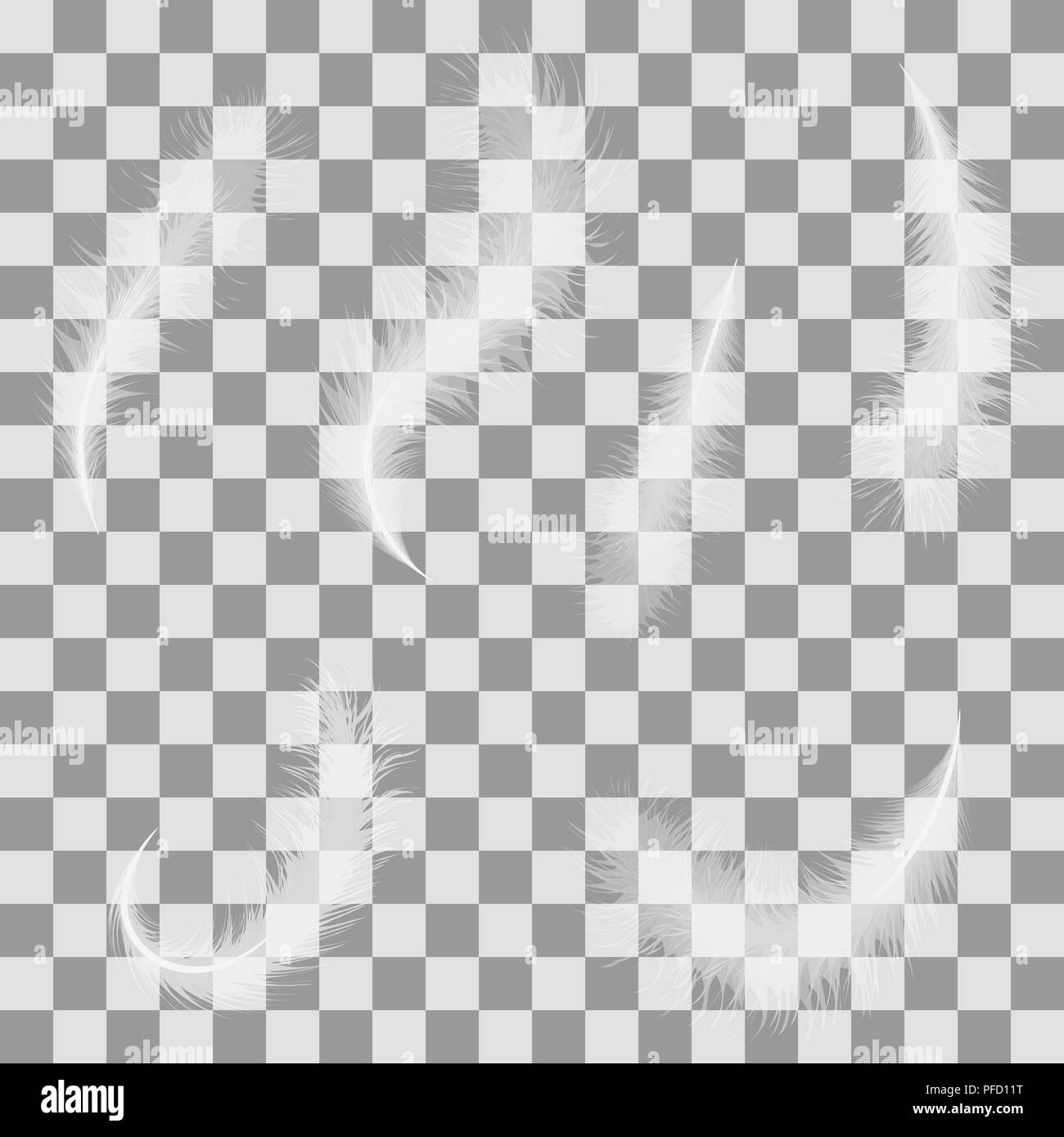 Bird realistic feathers set Black and White Stock Photos & Images - Alamy