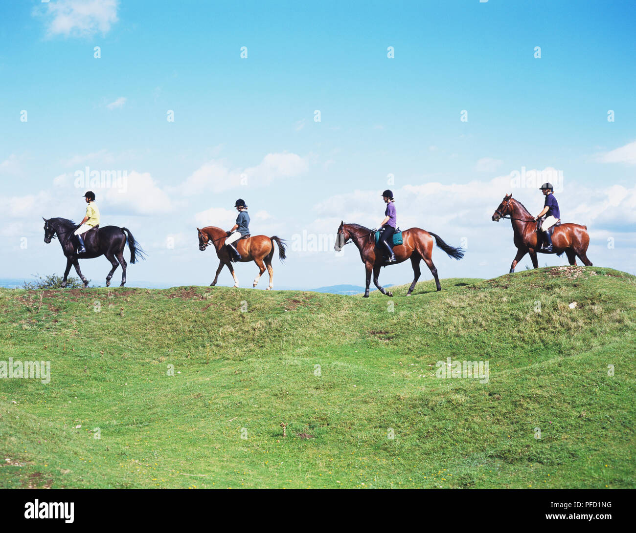 Four Riders on Ponies Riding Along Bridleway Stock Photo - Alamy