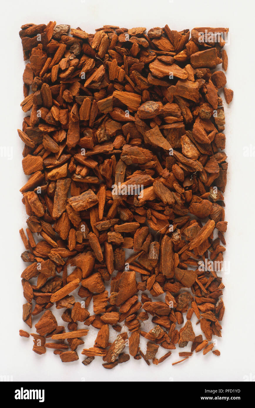 Dried bark and tincture from Cinchona spp. (Chinchona, Peruvian Bark ...