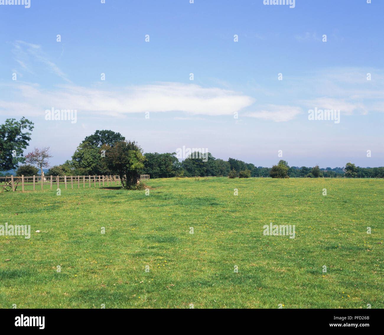 Bordered image hi-res stock photography and images - Alamy