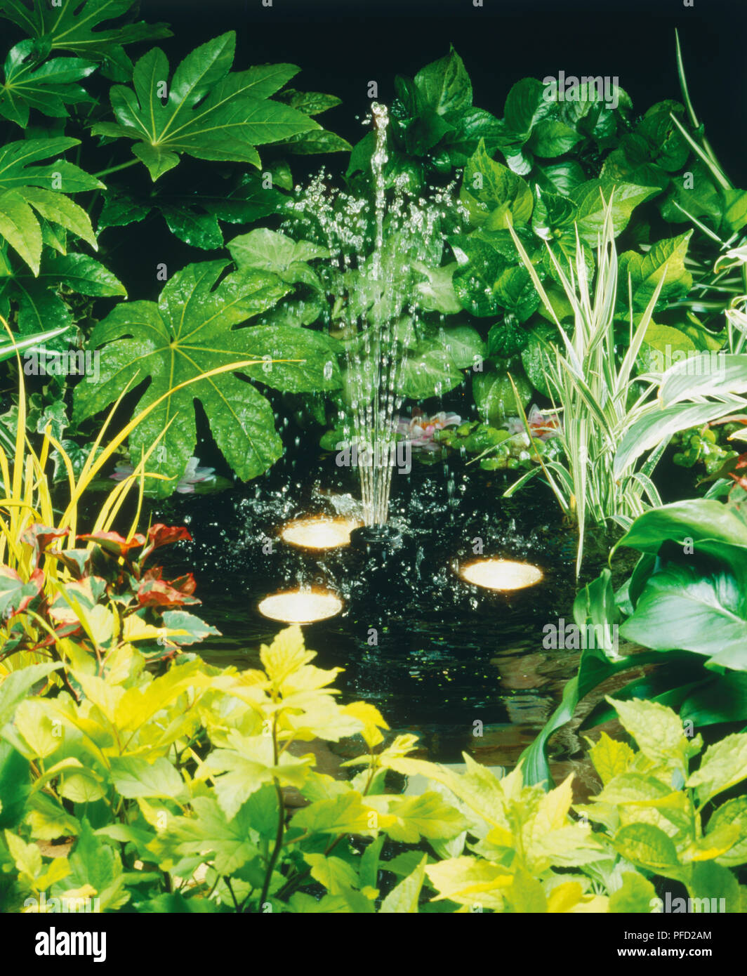 Underlit hi-res stock photography and images - Alamy