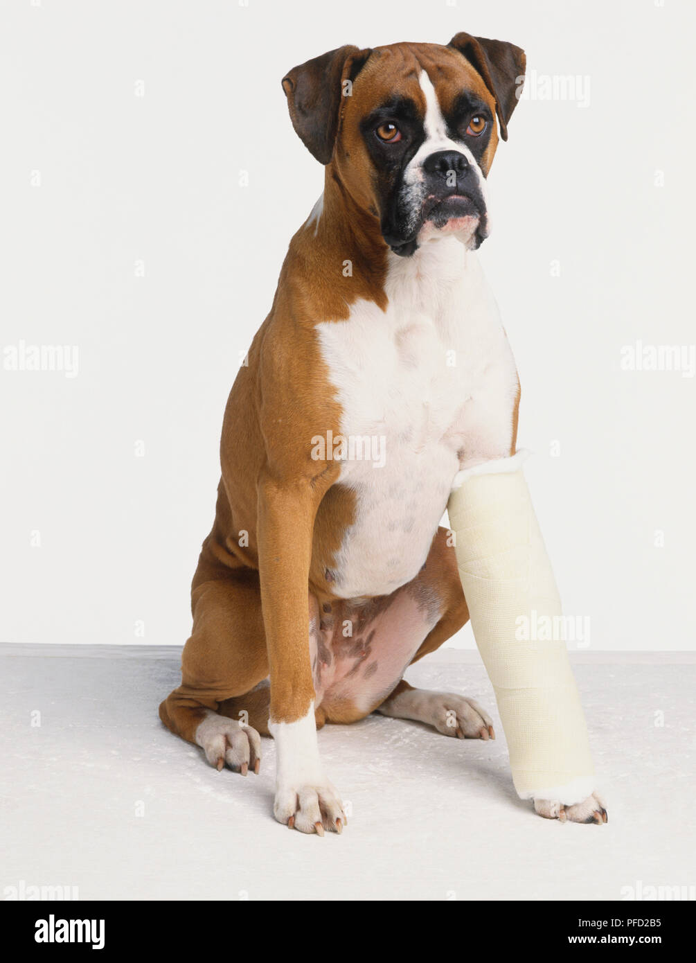 Leg in plaster hi-res stock photography and images - Alamy