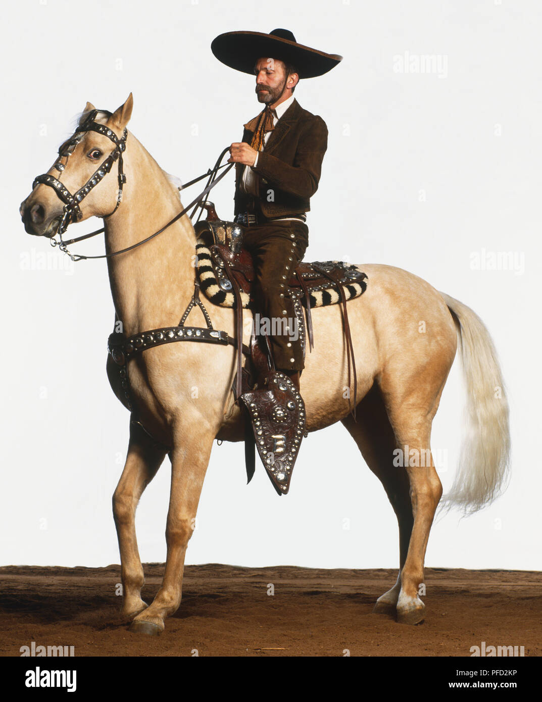 Mexican on horseback hi-res stock photography and images - Alamy