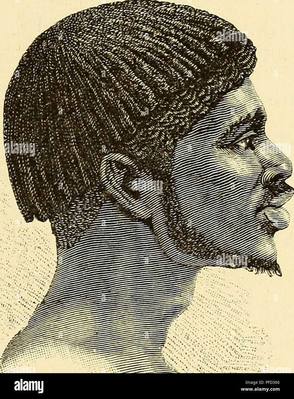 This work documents a journey through Angola, describing encounters ...