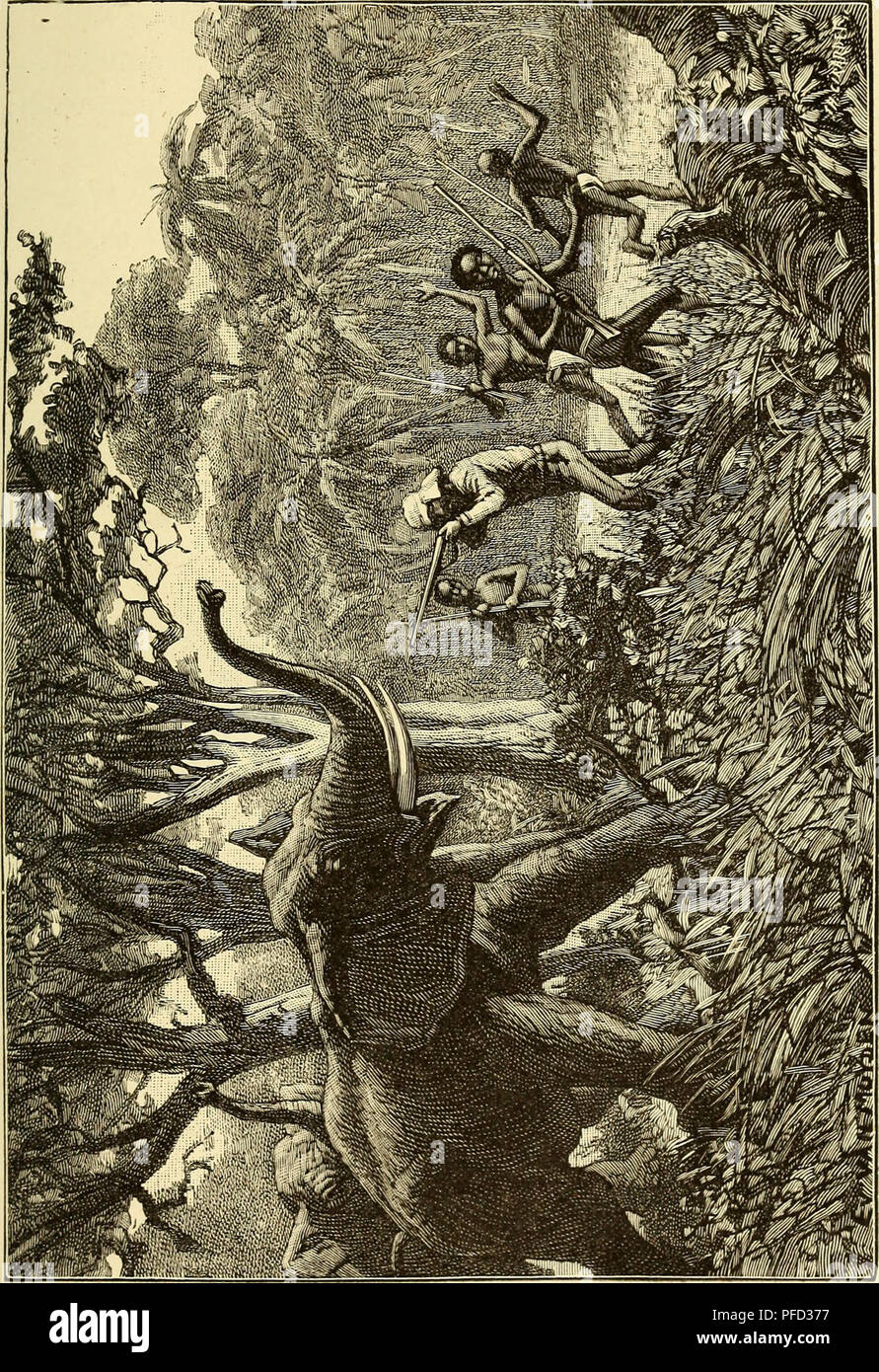 This work describes a journey through Angola, detailing the natural ...