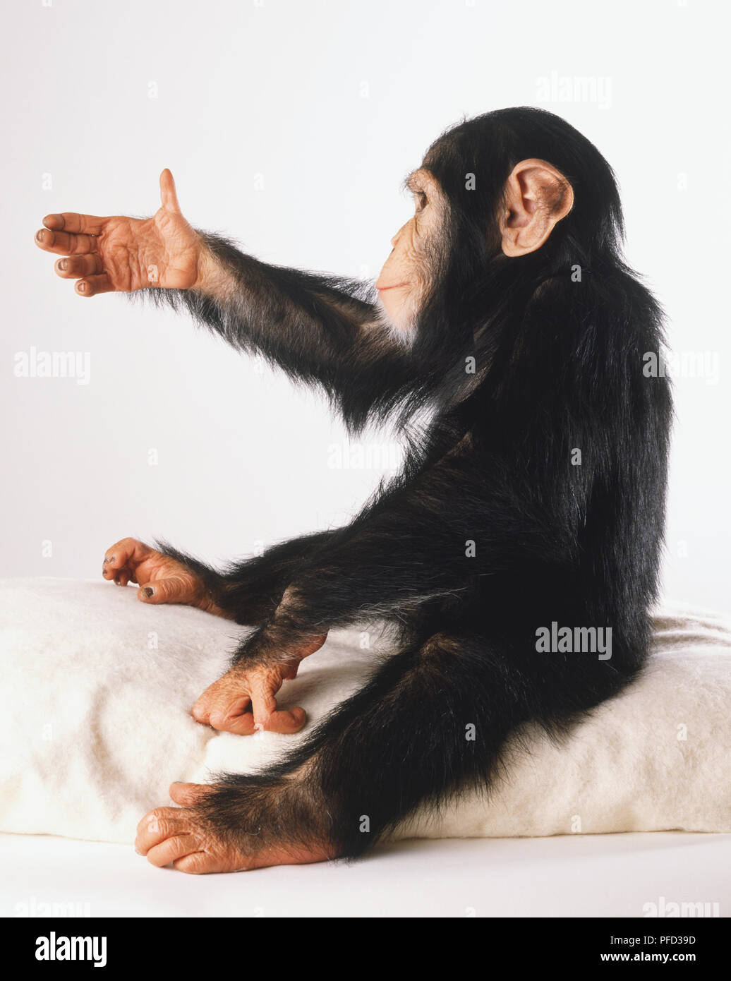 Depth perception hi-res stock photography and images - Alamy