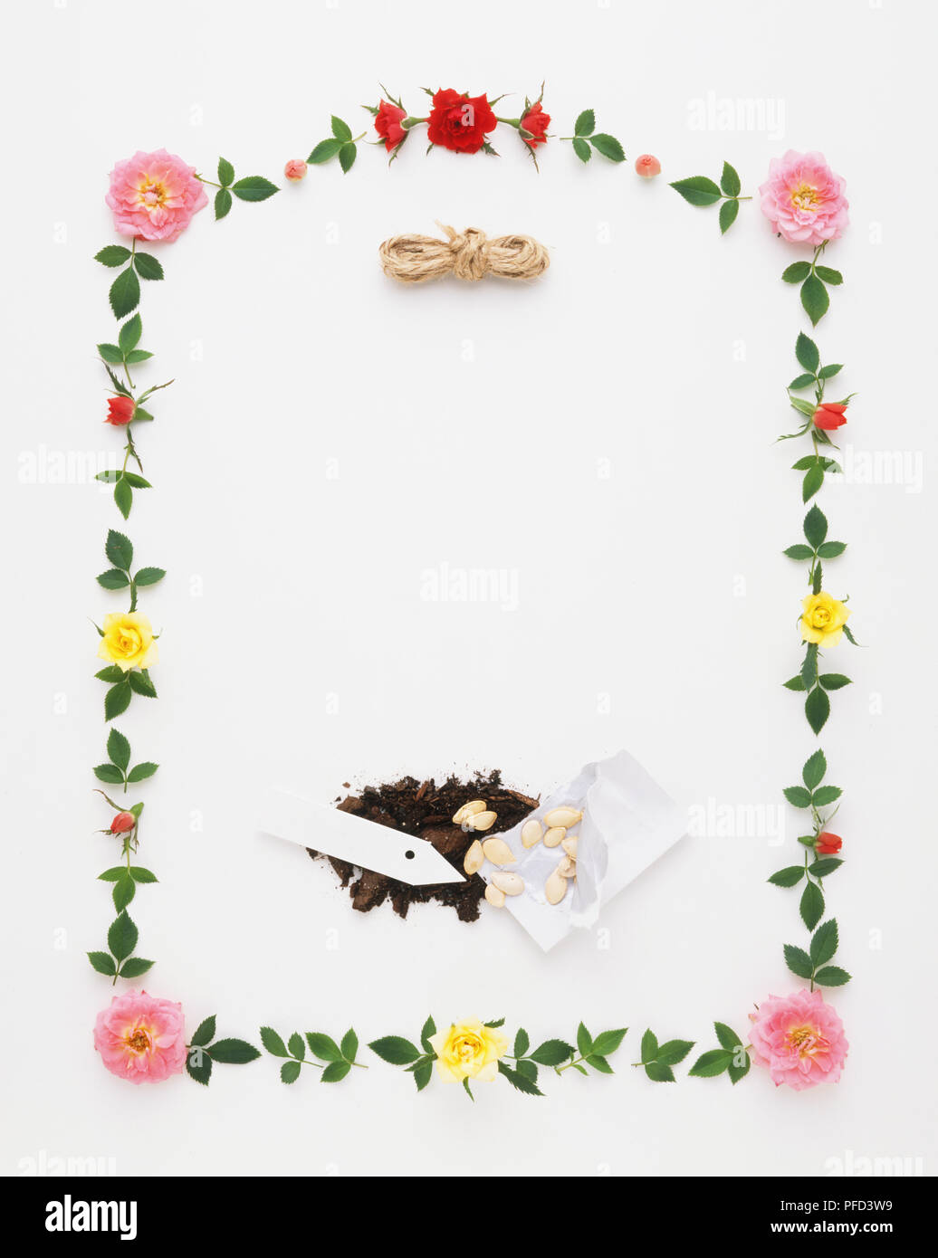 Roses and leaves arranged in a rectangle, piece of string, plant label ...