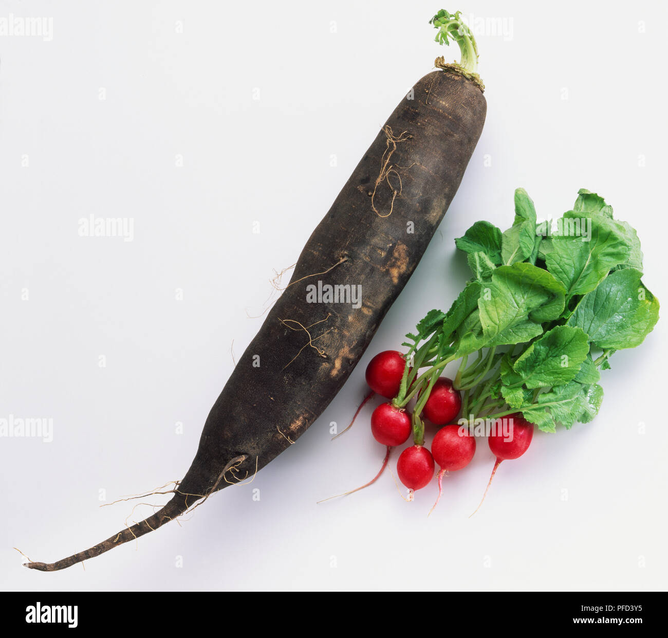 Crunchy black hi-res stock photography and images - Alamy