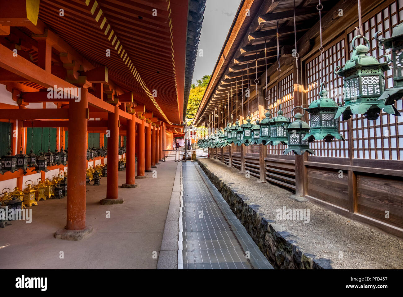 Stone lanterns in Kasuga Taisha, Nara, Kansai, Japan Stock Photo - Alamy