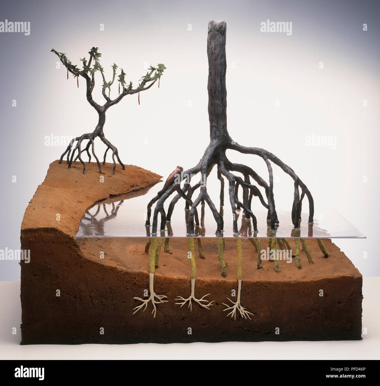 Underwater cross section hi-res stock photography and images - Alamy