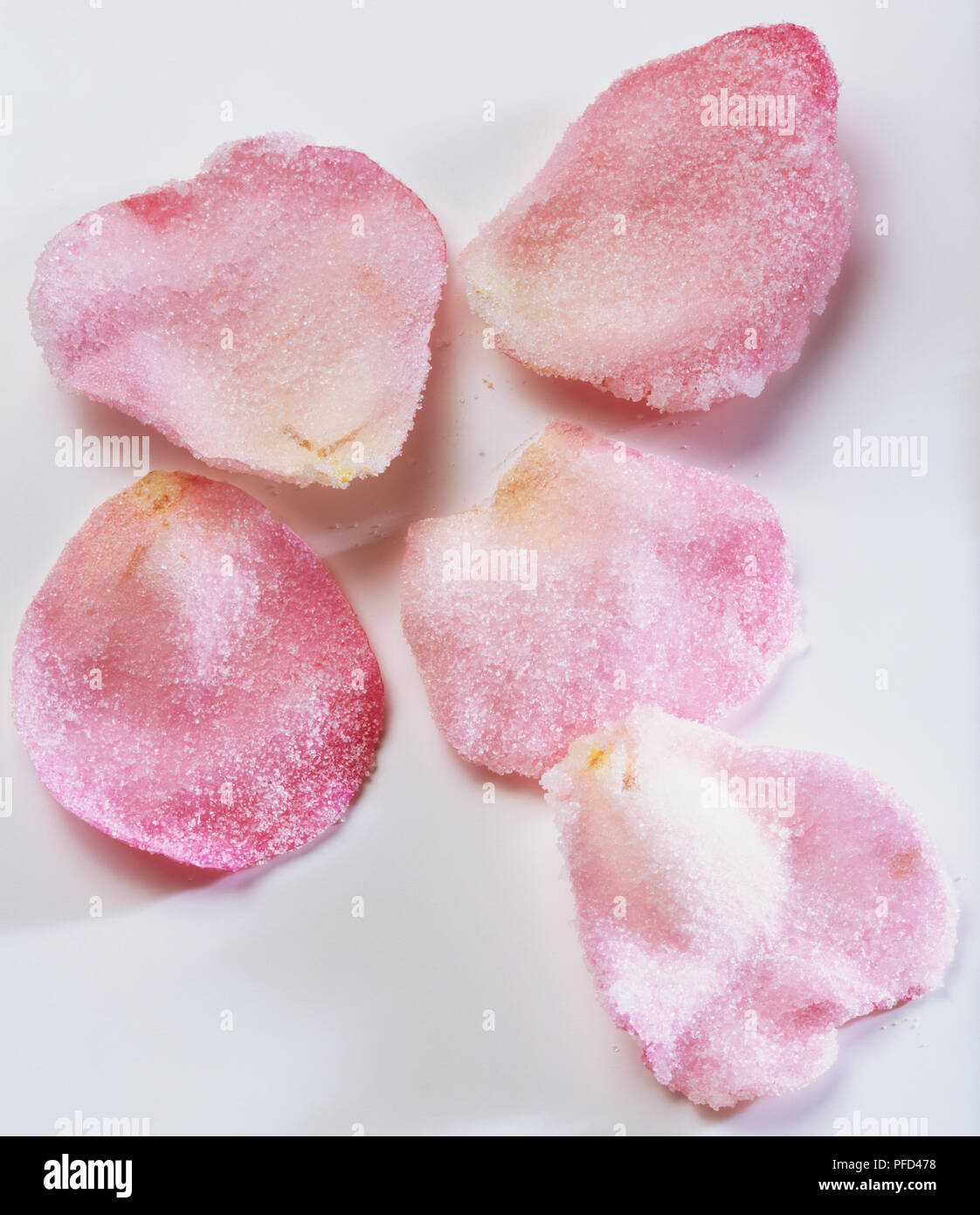 Five white petals hi-res stock photography and images - Alamy