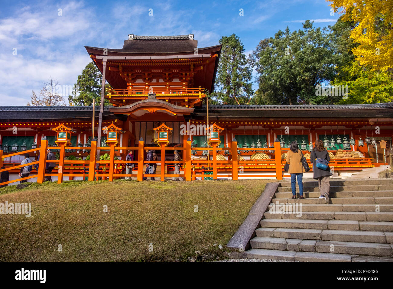 Stone lanterns in Kasuga Taisha, Nara, Kansai, Japan Stock Photo - Alamy