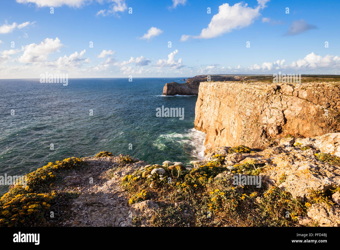 Panorama of high rocky cliff of Atlantic ocean Stock Photo - Alamy