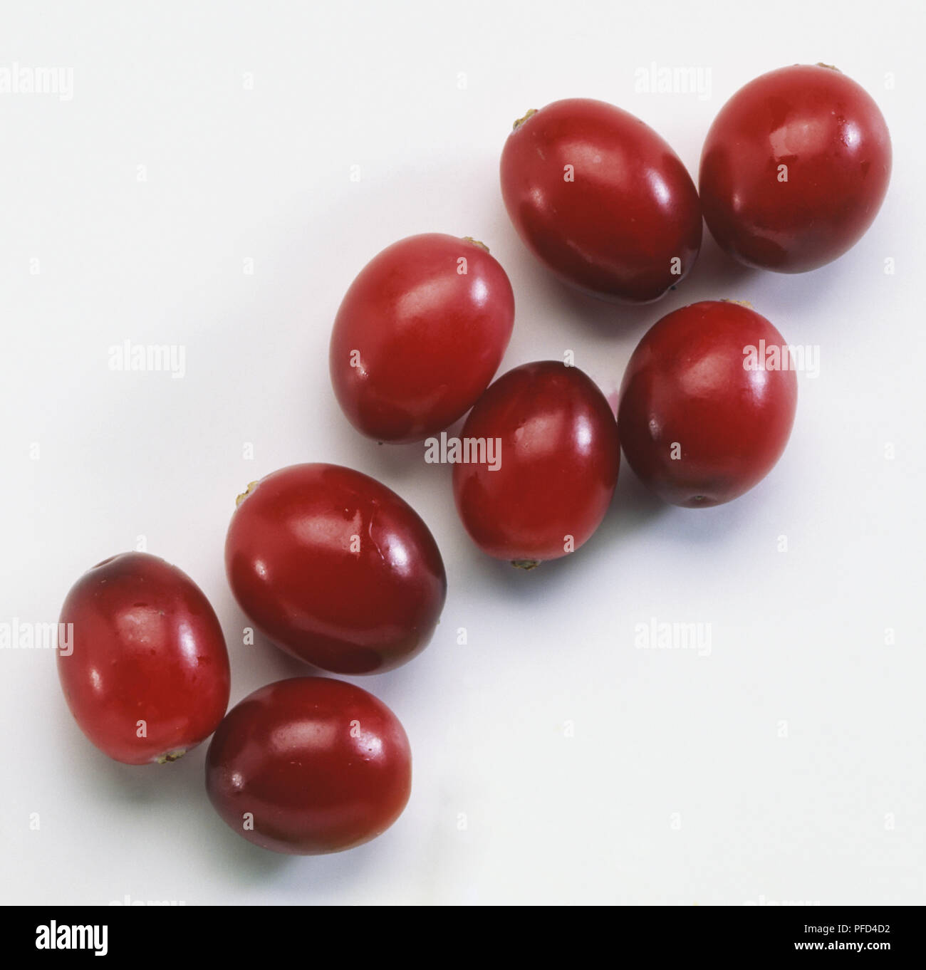 Eight ten hi-res stock photography and images - Alamy