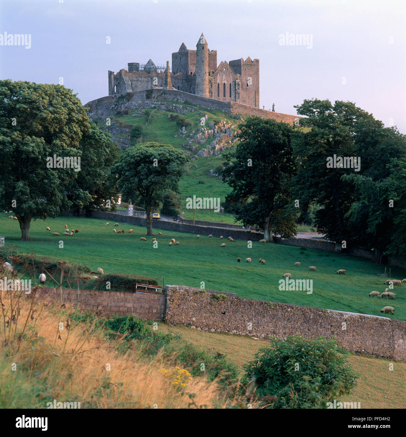 Ireland, County Tipperary, Rock of Cashel, ruins of hilltop castle with ...