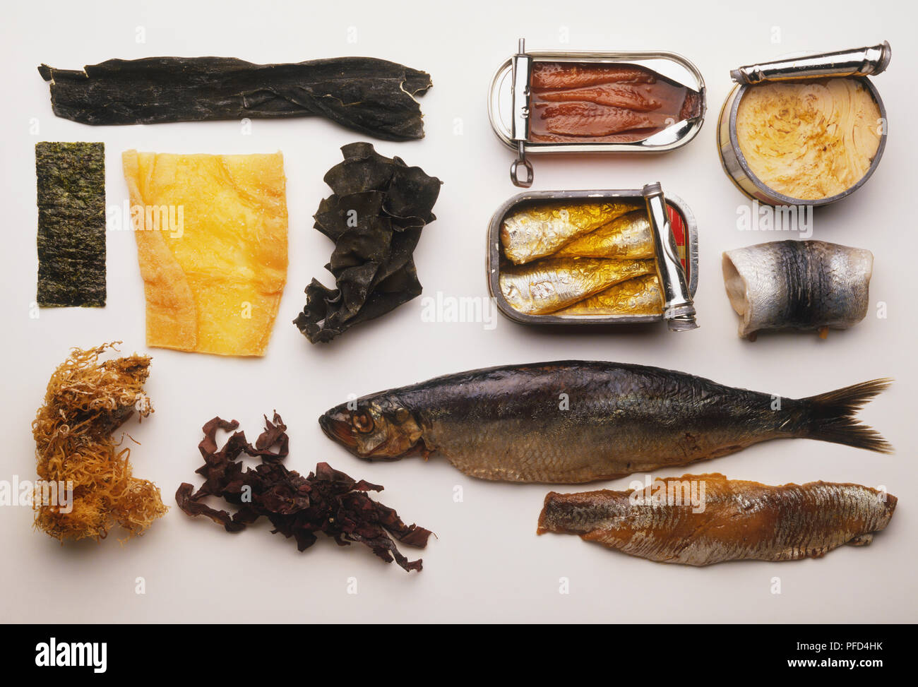 Fish Eating Jellyfish High Resolution Stock Photography and Images - Alamy