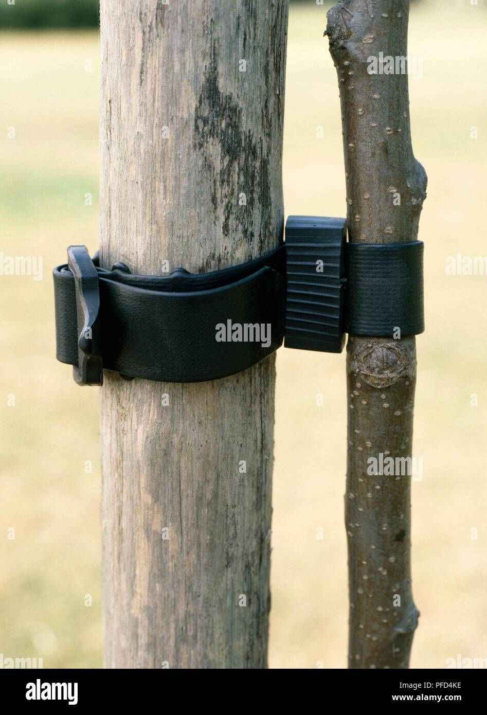 Tree spacer tie hi-res stock photography and images - Alamy