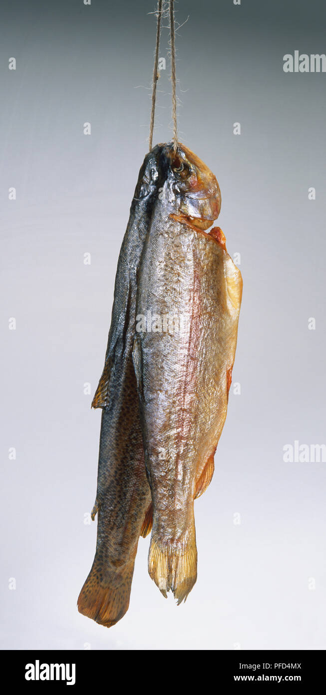 Two smoked trout hanging by string Stock Photo - Alamy