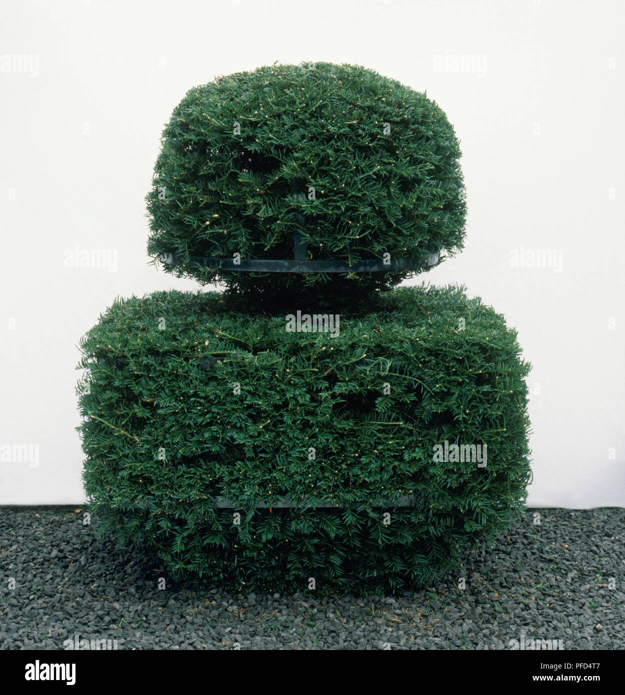 Cut into shape hi-res stock photography and images - Alamy