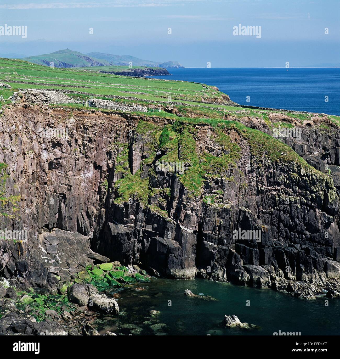 Ireland, County Kerry, Dingle Peninsula, coastal cliffs at Dunbeg Fort ...
