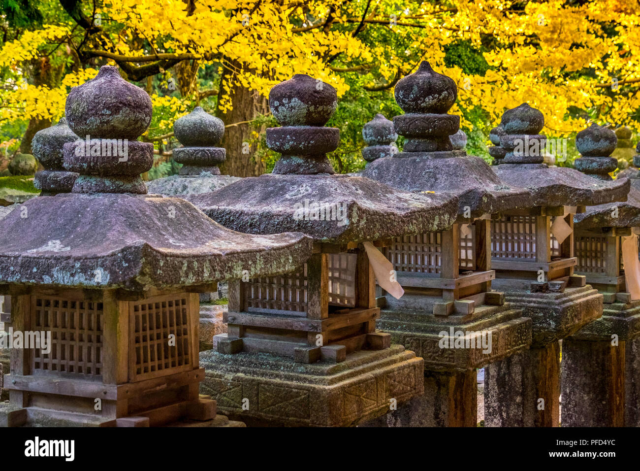 Kasuga taisha lantern hi-res stock photography and images - Alamy