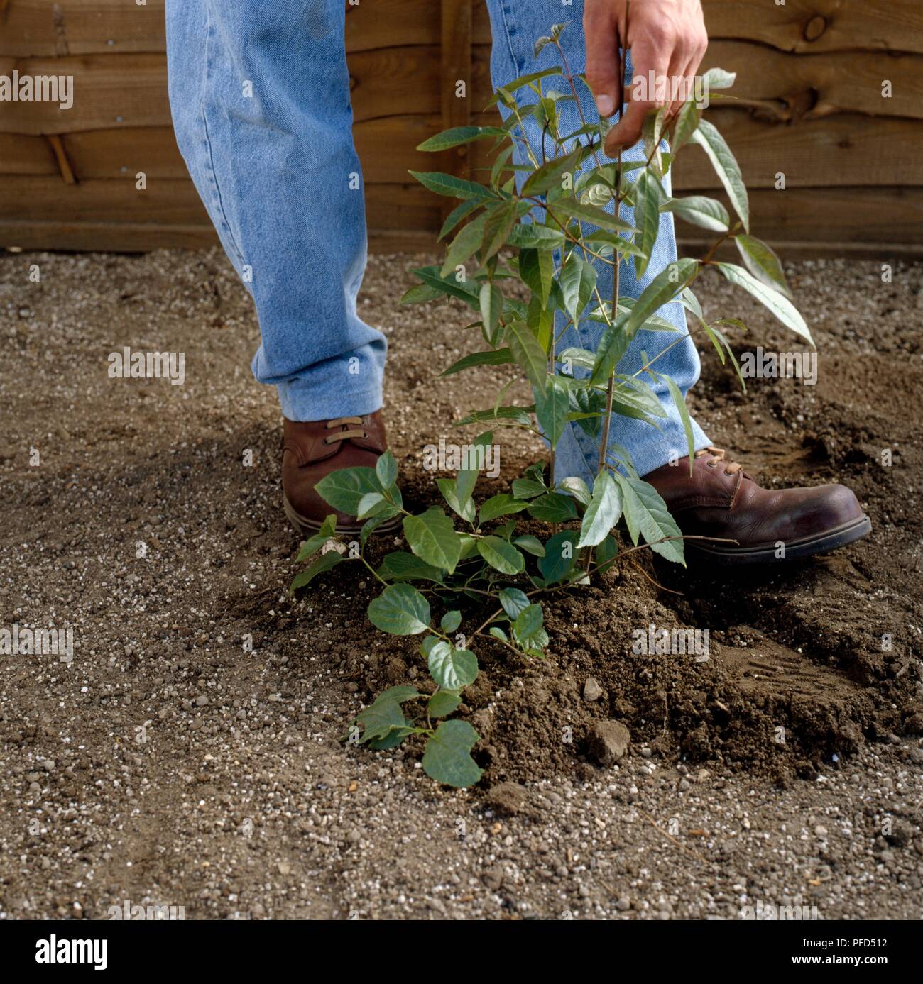 Firm base hi-res stock photography and images - Alamy