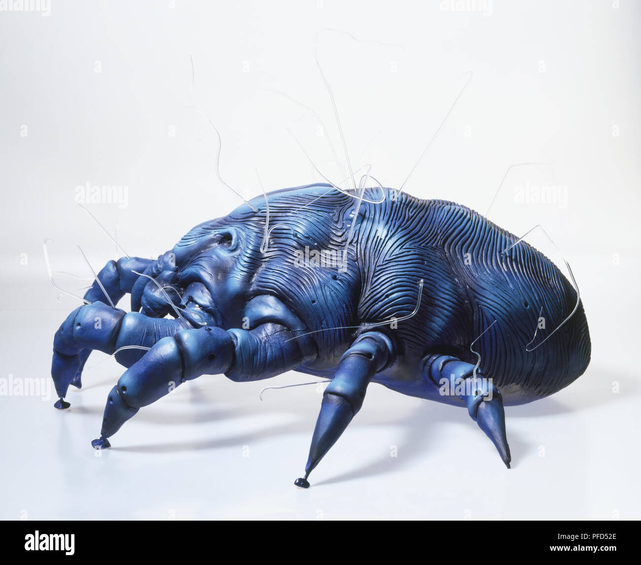 Side view of model of Dust Mite Stock Photo - Alamy