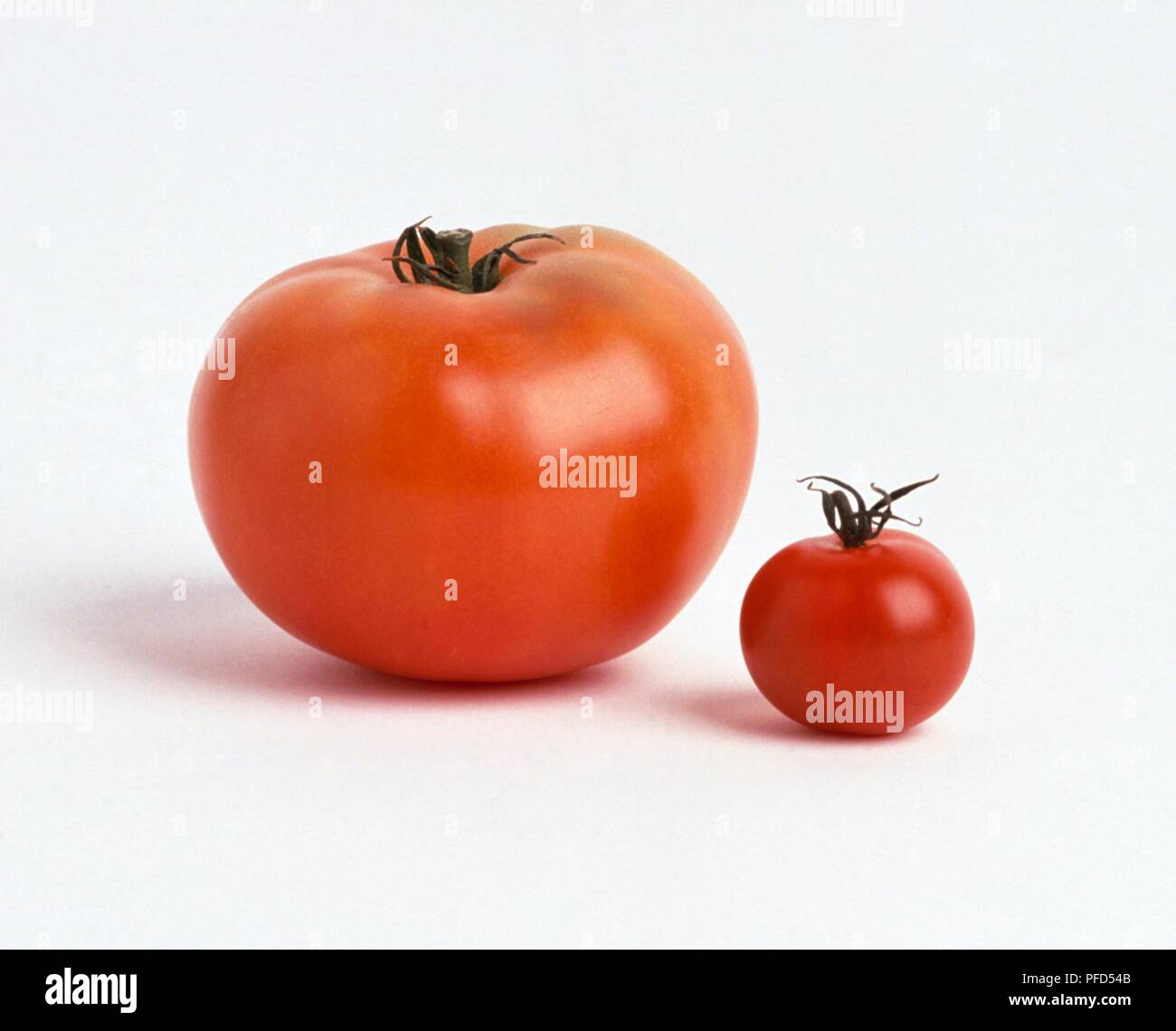 A cherry tomato and a normal sized tomato Stock Photo - Alamy