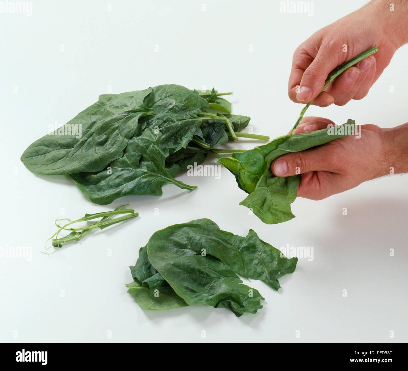 Stalks spinach hi-res stock photography and images - Alamy