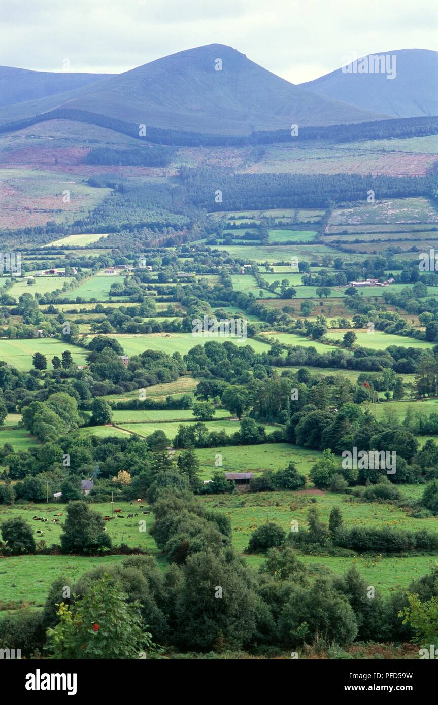 Ireland, County Tipperary, Glen of Aherlow, view across valley Stock ...