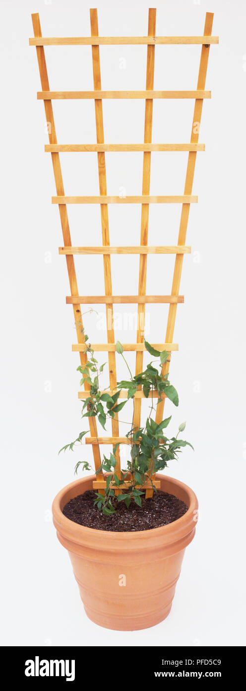 Vertical shot climber in hi-res stock photography and images - Alamy
